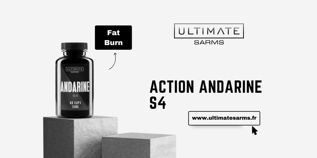 Mécanisme d'action de Andarine S4 – Ultimate SARMS France Mécanisme d'action de Andarine S4 – Ultimate SARMS France